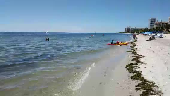 La playa de Key Biscayne es de las mejores de todo Miami - Decidilo